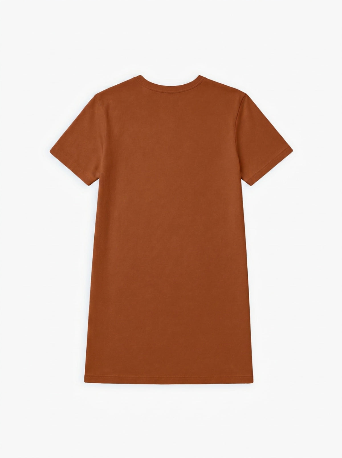 Women's Heavyweight T-Shirt Dress | Ministry of Supply - Rust